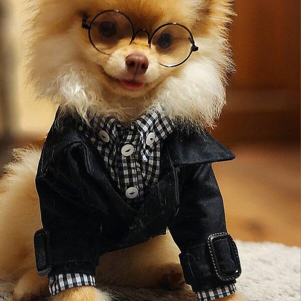 Dogs Sailor Hat, Cape Set HANDMADE Dog Hats, Dog Caps, Marine Hat ...