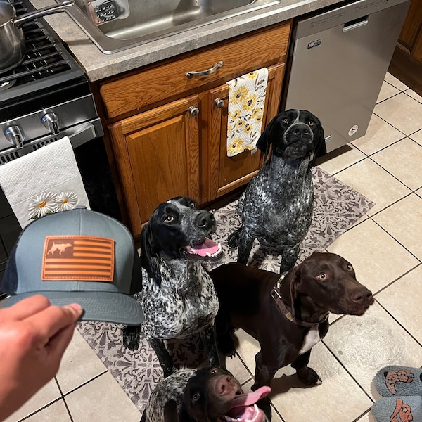 Red, White & Bird Dogs Hat | German Shorthair Pointer Hat | GSP Gift ...