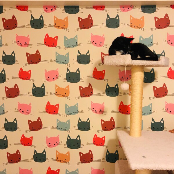 Cats Wallpaper - Cats in Colors1 by Potyautas - Nursery Kitty Faces ...
