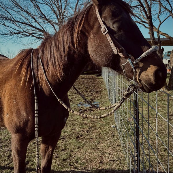 Handmade Bosal Set, 40 Plaits Rawhide Natural & Black Bosal Set, Bosal ...