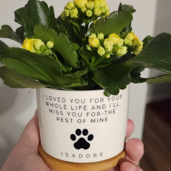 Memorial Planter, Cat Memorial Gift, Remembrance Gift, Pet Memorial ...