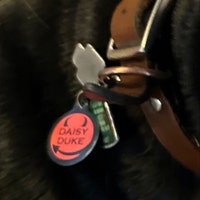 Pet ID Tag Crow Photo - Etsy