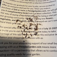 Giggles Dahlia Seeds - Attracts Pollinators, Long Blooming Season ...