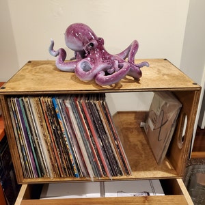 45 RPM 21 1/2 Deep Vinyl Record Storage and Display Crate Natural ...