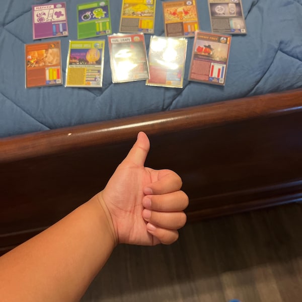 BFDI and Inanimate Insanity Plush Trading Cards 2023 Experience 2024 ...
