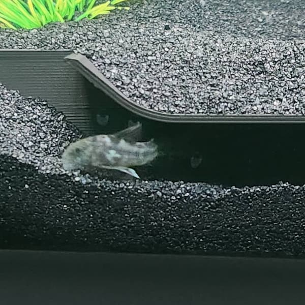 Underground Aquarium Tunnel Fish Hide for Shrimp and Fish - Etsy