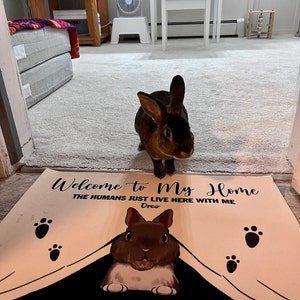 Welcome to the Rabbit House Doormat Bunny Welcome Doormat - Etsy