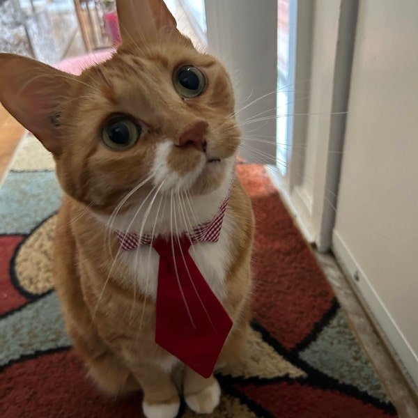 Black Satin Cat Bow Tie, Wedding Cat Bow Tie - Etsy