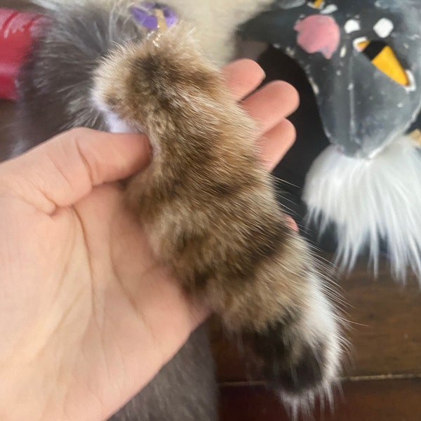 Genuine Bobcat Tail Keychain (CHOOSE SIZE) - Etsy