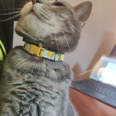 Pink Roses Cat Collar With Bell Cat Breakaway Collar Custom - Etsy