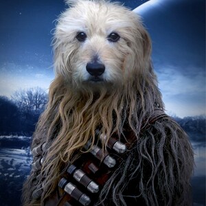 Custom Pet Mugshot Custom Pet Portrait Dog Mugshot Cat - Etsy