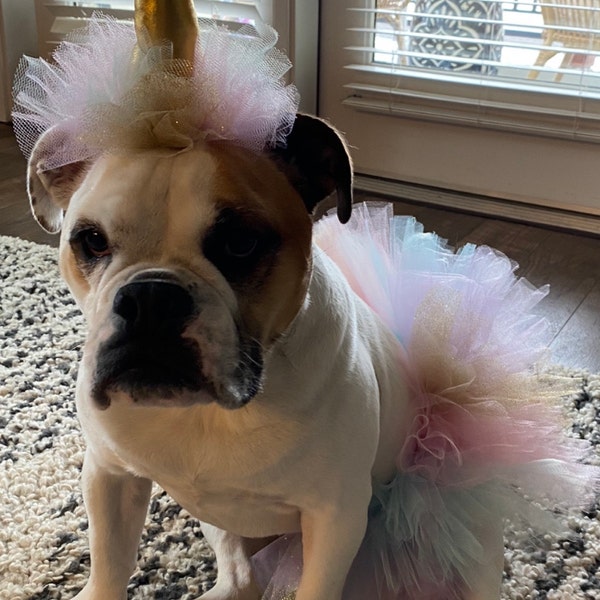 Unicorn Dog Costume: Horn Handmade, Cute, Rainbow, Fluffy Princess Dog ...