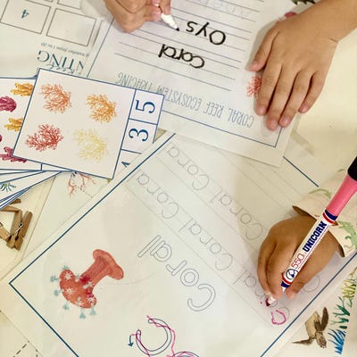 RED FOX Unit Study, Life Cycle, Anatomy, Nature Study, Science ...