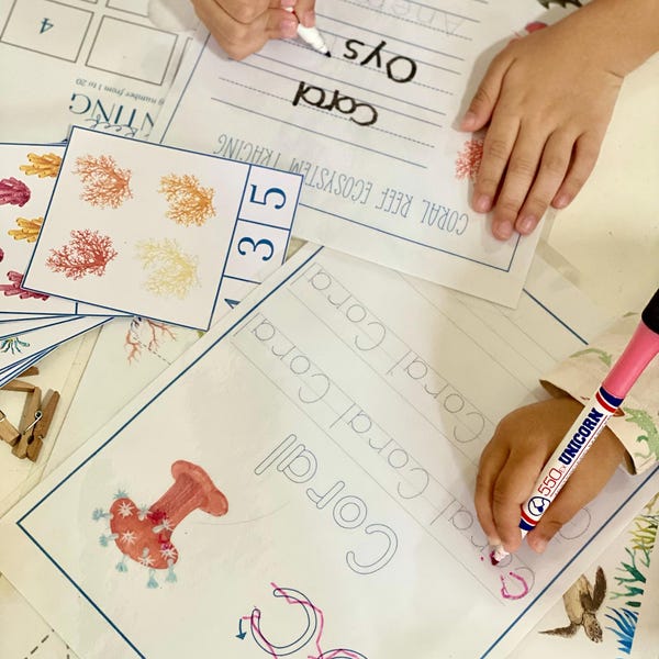 Flowers Mini Study Unit: Life Cycle & Anatomy (instant Download) - Etsy