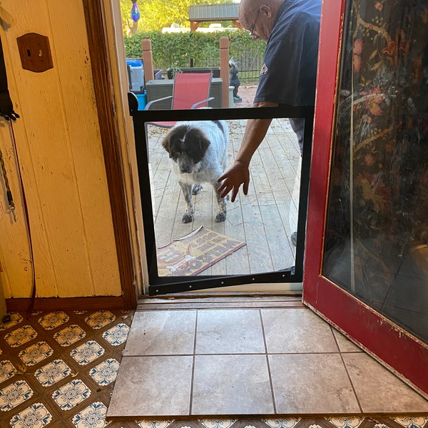 The BEST Pet Door EVER! for Dogs and Cats. Grab a Pawkit® for Your Pet ...