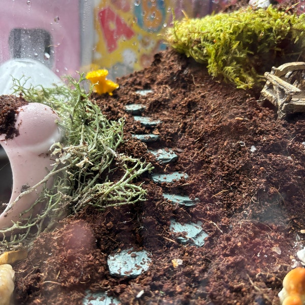 10pcs Natural Miniature Small Stepping Stone Figure Fairy Garden ...