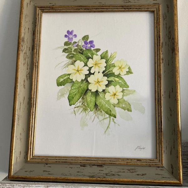 Primroses and Violets. Signed Print of a Watercolour Painting by Jan ...