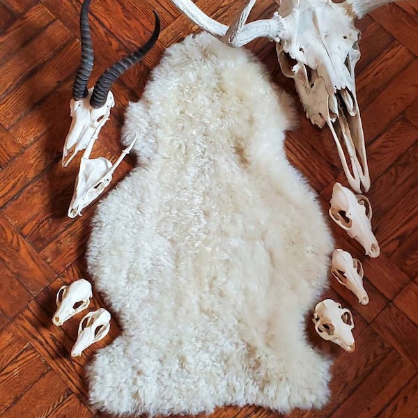 Genuine Real Sheepskin Rug Ivory Sheepskin Rug Single Pelt Wool Fur ...