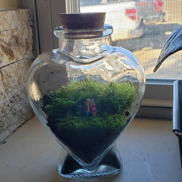 Moss Terrarium “tiny Ireland” - Etsy