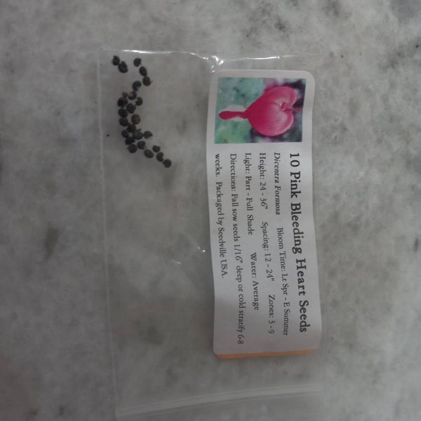 10 BLEEDING HEART - PINK Old Fashioned Dicentra Formosa Shade Flower ...