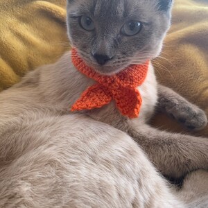 Scarf for Cat, Cat Scarf, Kitten Accessories, Crochet Feline Scarf ...