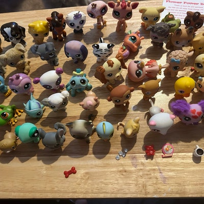 Littlest Pet Shop Rare Vintage LPS Chihuahua Dogs Accessories Lots YOU ...