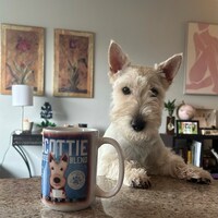 Boxer Dog Bath Soap Company Vintage Style Artwork by Stephen Fowler ...