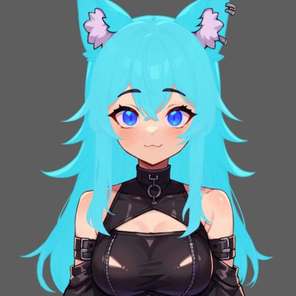 Pngtuber, Gamer Girl 2d Vtuber / Premade & Presetup Model With 5 ...