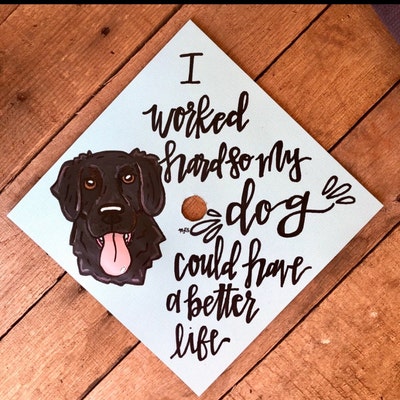 Painted Graduation Caps, Hand Painted Grad Cap, Custom Graduation Cap ...