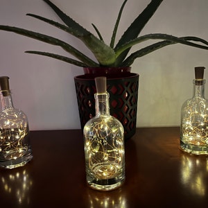 Copper Wire Firefly Fairy Glass Bottle With Warm Lights. Perfect for ...