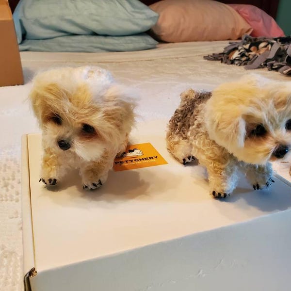 Custom Poodle Toy Plush - Handmade Realistic Dog Replica, Personalized ...