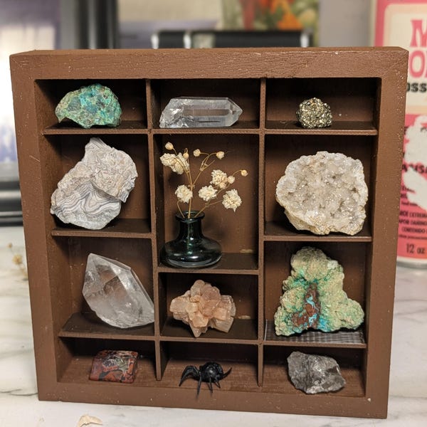 Wooden Curiosity Cabinet Printer Tray Letterbox Display, Rock Display ...