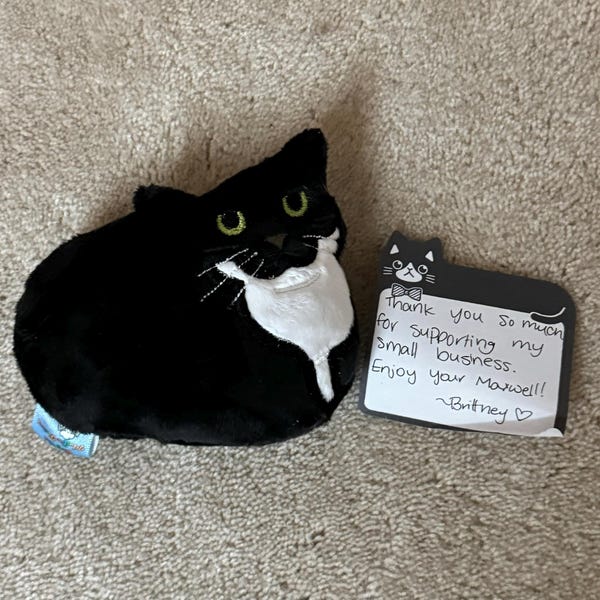 Pop Cat Meme Plush Keychain - Etsy