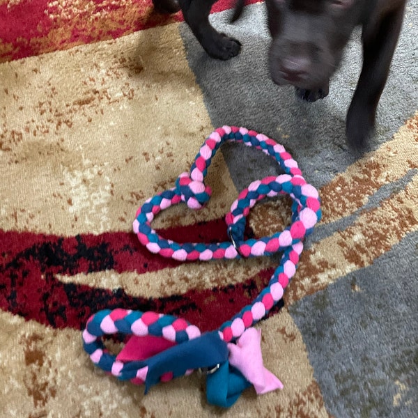 Custom Handmade Fleece and Minky Dog Leash - Etsy