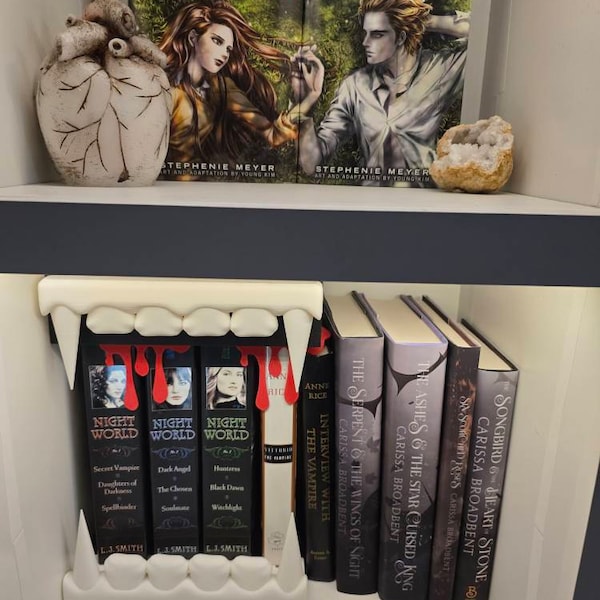 Lion Book Nook | Wizard-themed Magic Bookshelf Insert | Enchanted ...