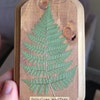 Mini Forest Fern Wall Art Botanical Fern Wall Hanging Pressed Floral ...