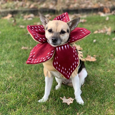 Demodog Demogorgon Stranger Things Inspired Embroidered Dog - Etsy