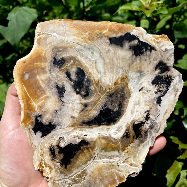 Onyx and Dendrite Red Orange Banded Cave Crystal Tower 696 Grams 1lbs ...