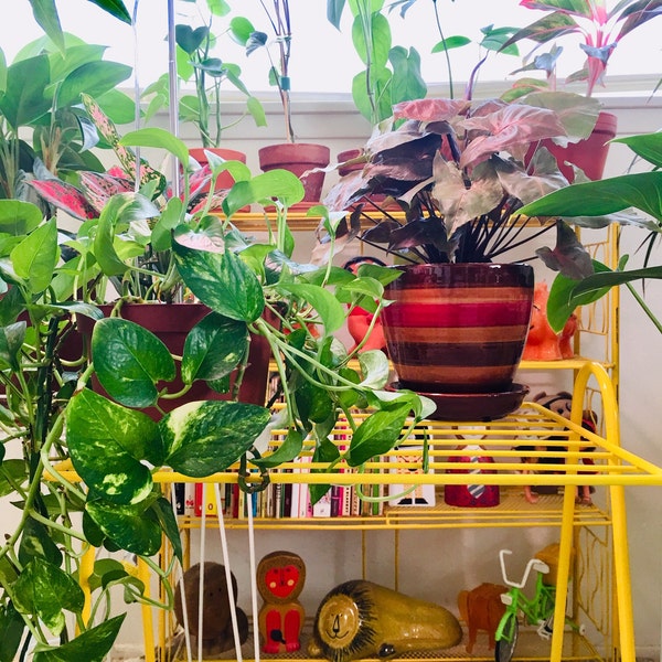 Muzzleloader Magazine March/april 1980 Publication for Black Powder ...