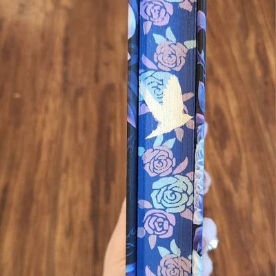 Powerless Sprayed and Stenciled Edges - Etsy