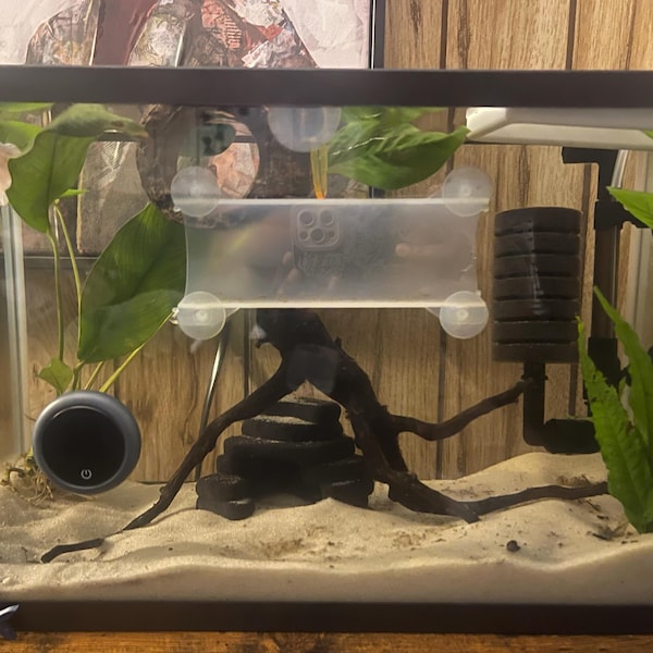 Aquarium Rock Corner Cave - Fish Tank Hide for Aquarium Enrichment - Etsy