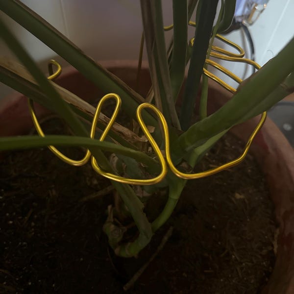Monstera Shaped Plant Support Gold Coloured - Etsy