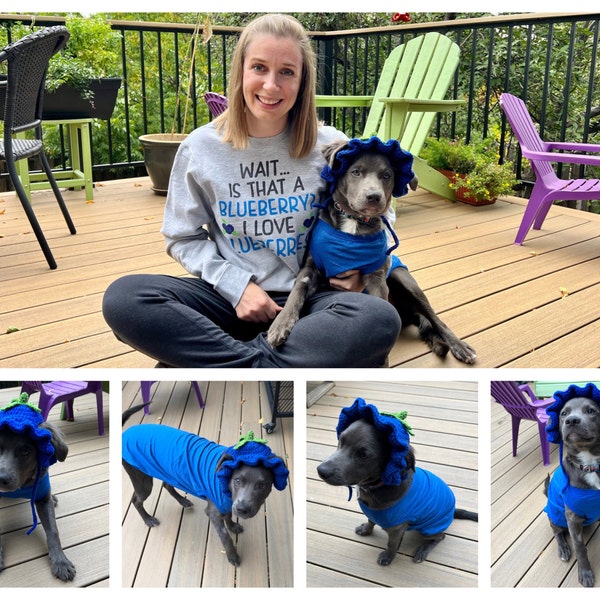 Crochet Blueberry Dog Hat (XS-XL) - Etsy