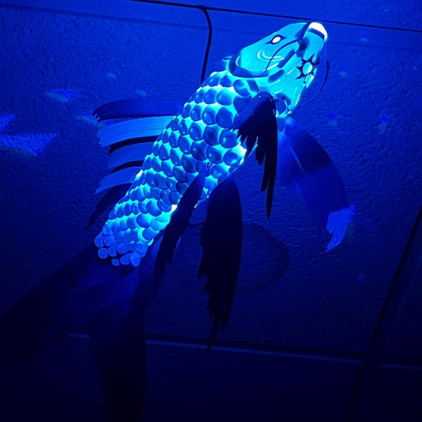 Paper Koi Lantern: DIY Fish Lamp Kit (8-pack) - Etsy