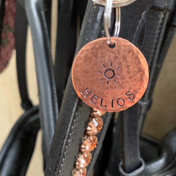 Horse ID Tag Horse Bridle Tag Equestrian Horse Tag Horse Tack High ...