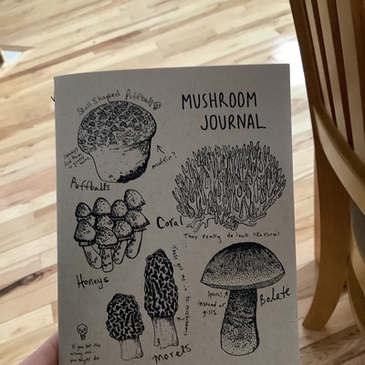 Mushroom Journal FORAGING Field Guide Notes for Edible Mushrooms Zine ...