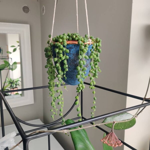 Solid Copper Plant Pot With Stand - Etsy