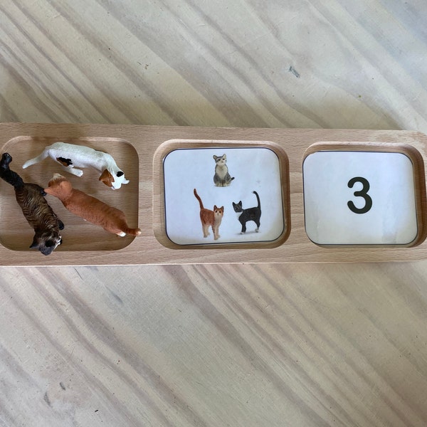 Wood Tray With Dividers, Sorting Tray, Partition Box Tray, Sorting Box ...