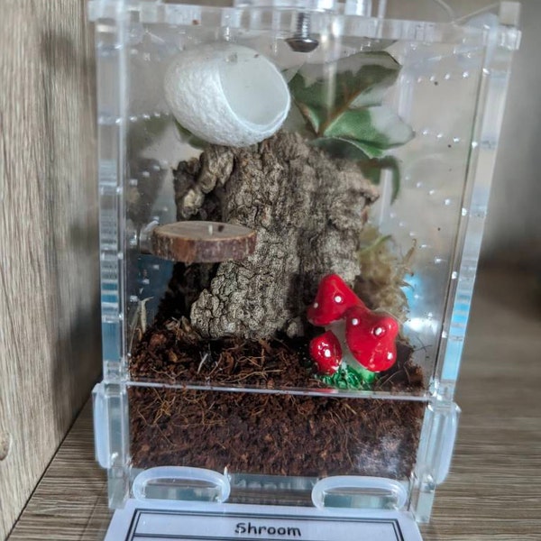 Small Terrarium Label Laminated Enclosure Label Exotic Pet Informative ...