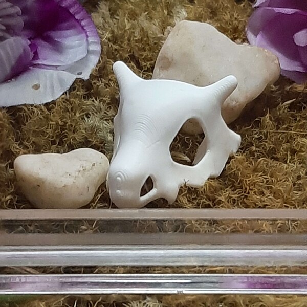 Jumping Spider or Tarantula Cubone Skull Decoration - Etsy